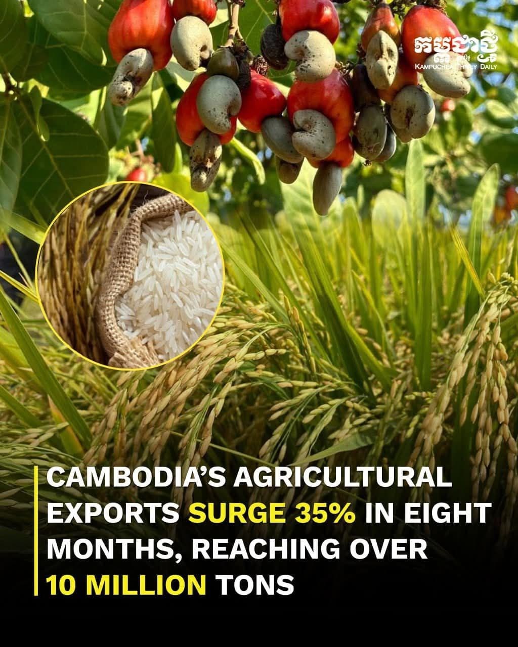 Cambodia Sees Boost in Foreign Investment and Export Growth in 2025 | CAC
